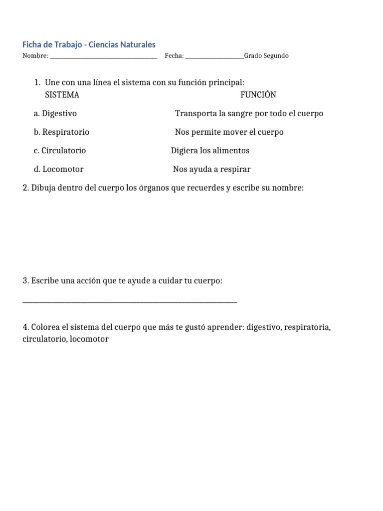 Actividades sobre sistemas del cuerpo humano | PDF