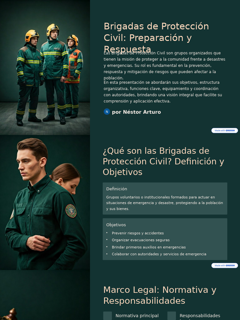 Brigadas | PDF | Defensa Civil | La seguridad