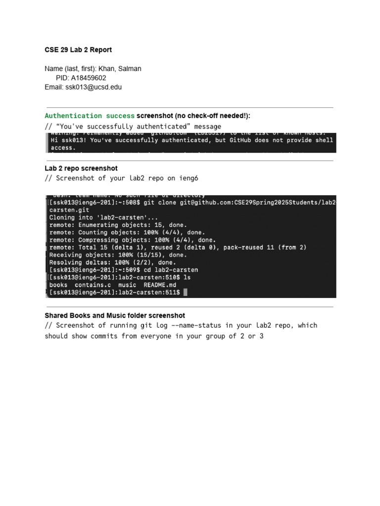 CSE 29 SP25 Lab 2 Report Template | PDF