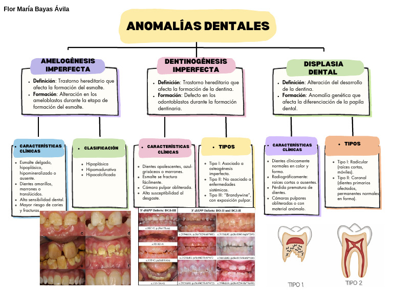 Mapa Conceptual Patología | PDF | Esmalte de dientes | Diente
