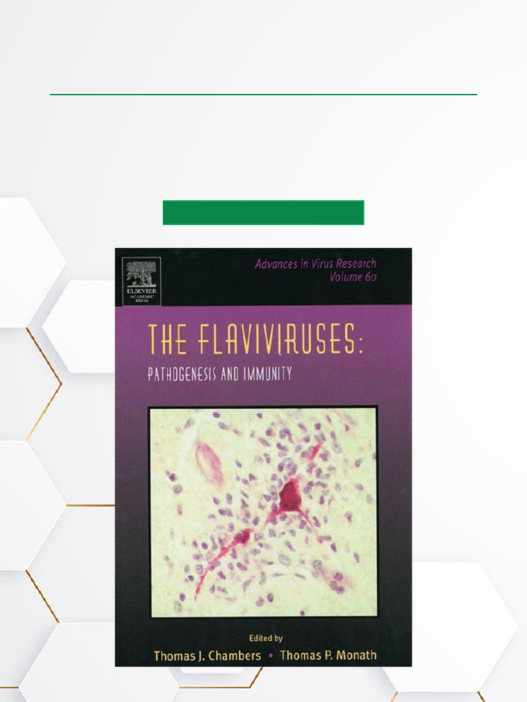 The Flaviviruses Pathogenesis and Immunity Pathogenesis and Immunity Optimized DOCX Download ...