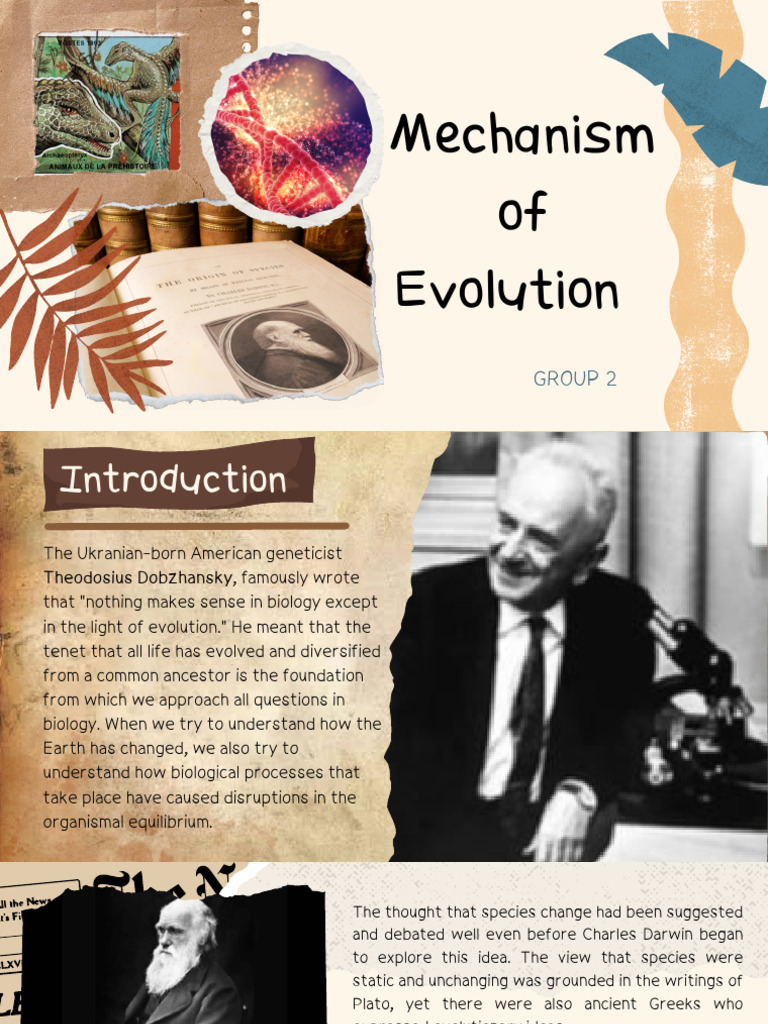 Evidence For Evolution Presentation in Colorful Textured and Natural Style | PDF | Mutation ...