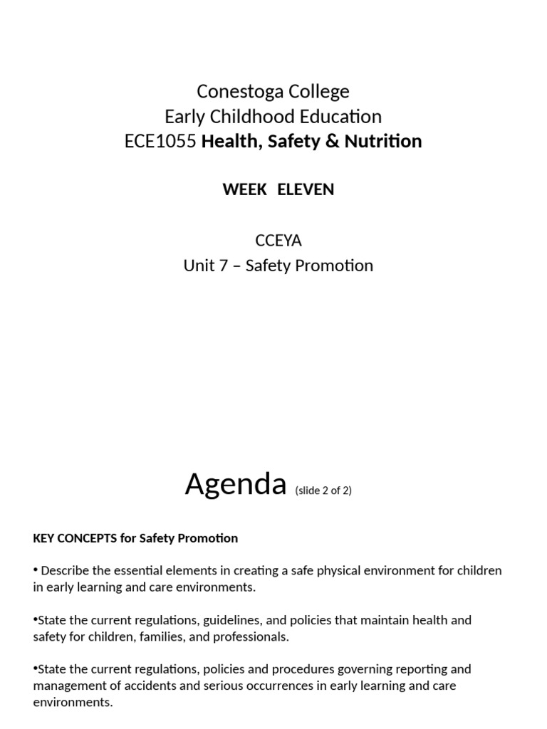 HSN W2025 Unit 7 Week 11 | PDF | Child Care | Preschool