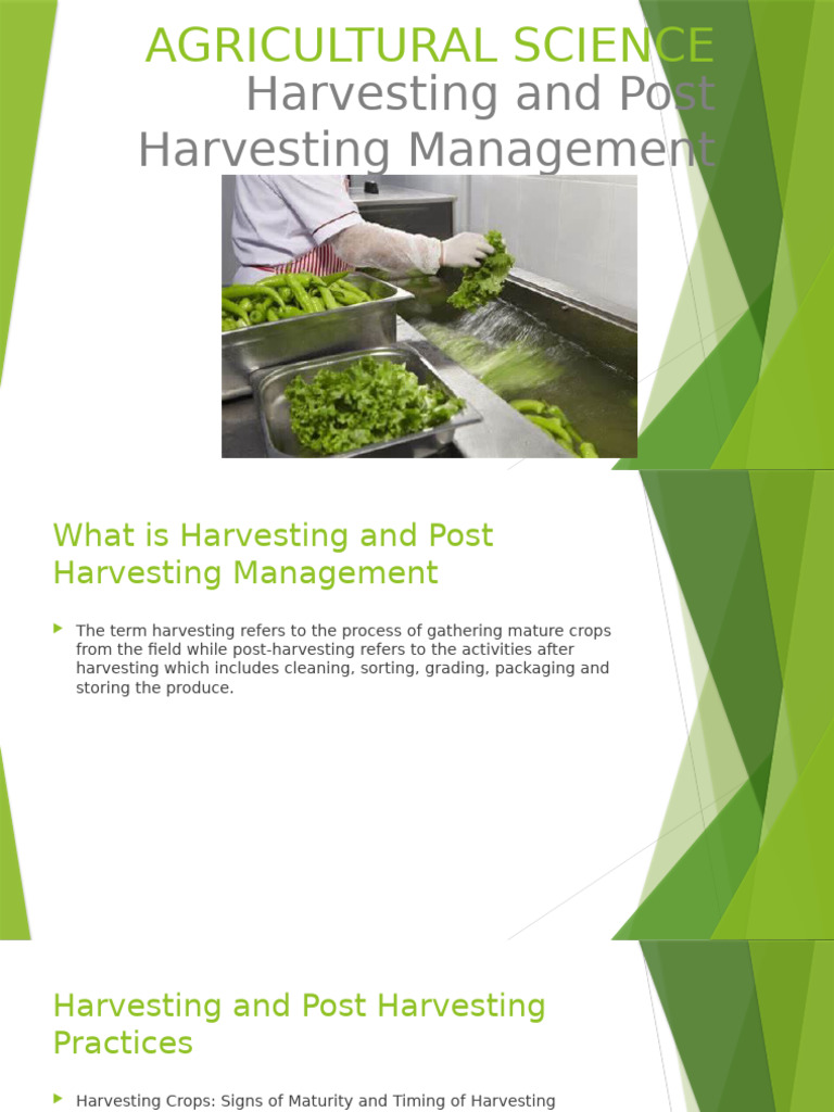 AGRICULTURAL SCIENCE Presentation | PDF | Food Industry | Agriculture