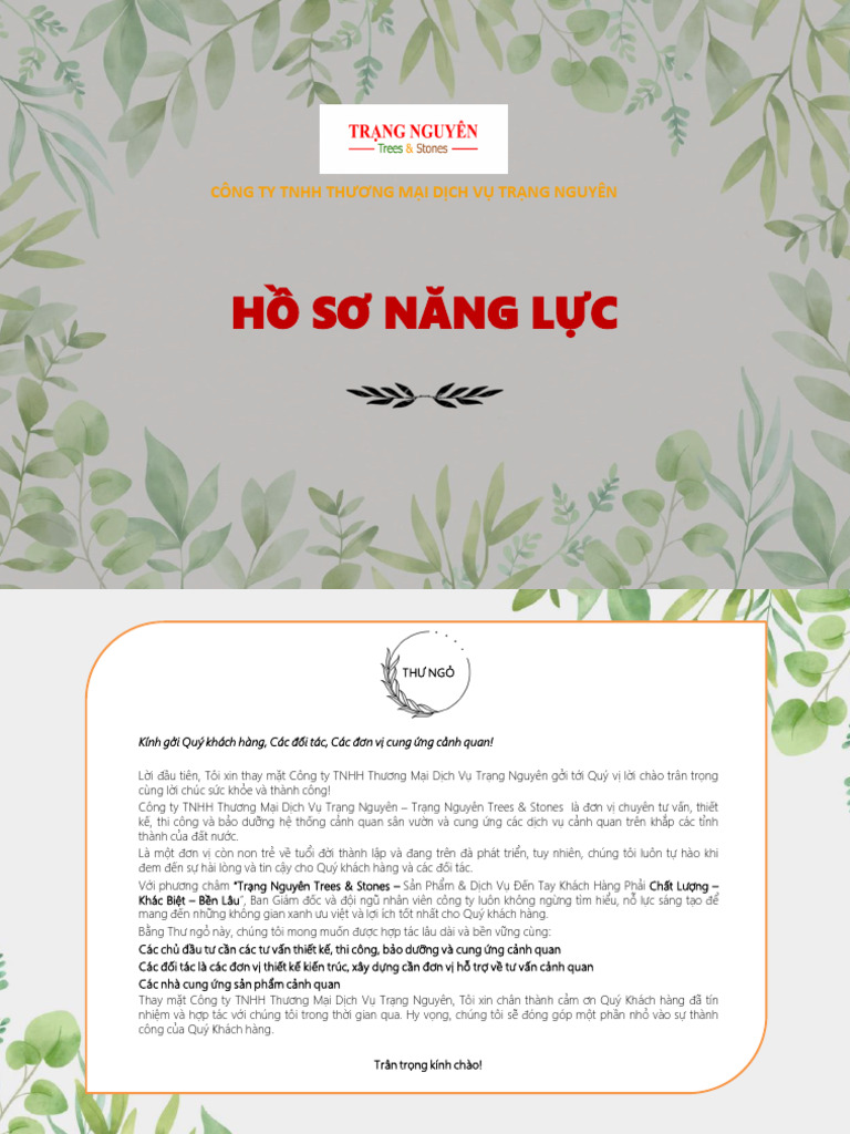 H Sơ Năng L C TR NG Nguyên | PDF