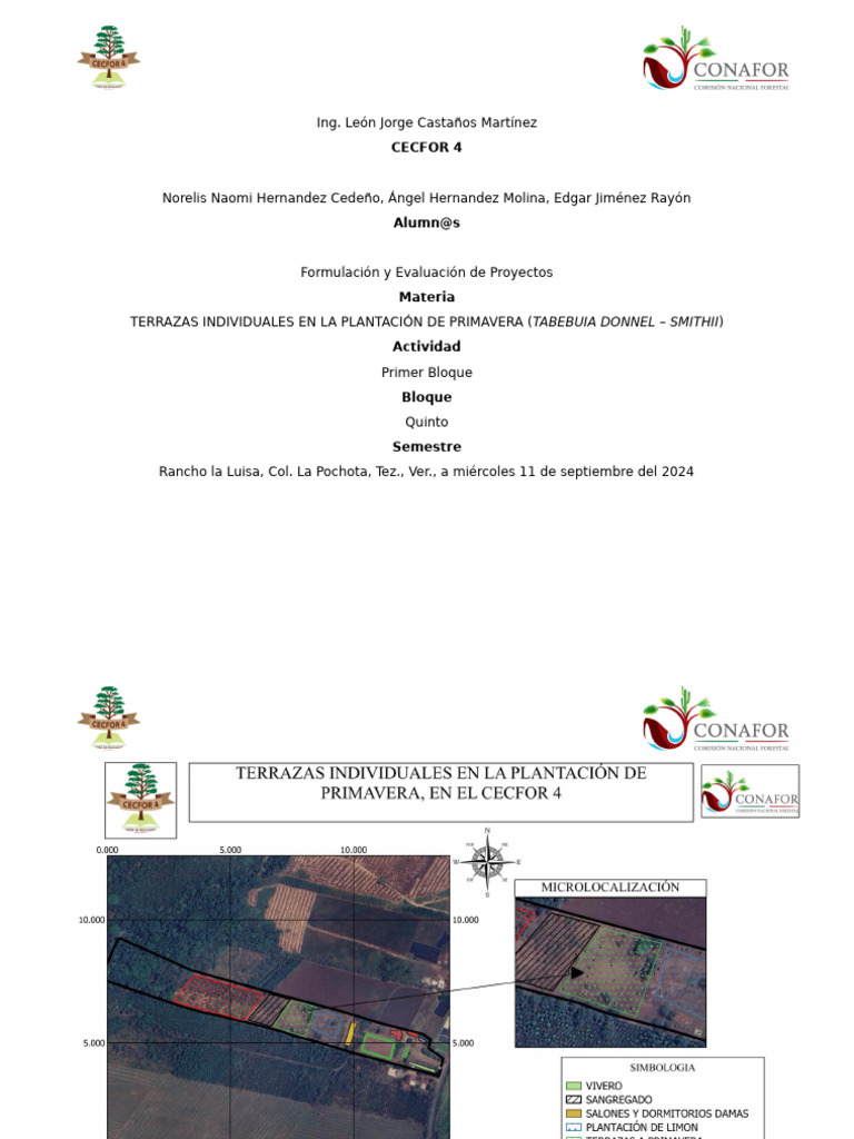 Mapa Proyecto Cecfor | PDF