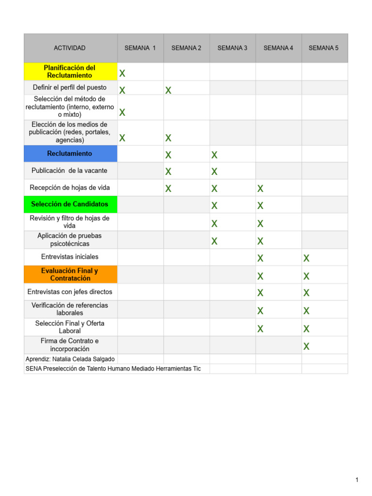 Plan de actividades del proceso de preselección. Hoja de cálculo sin título - Hoja 1 (5) | PDF