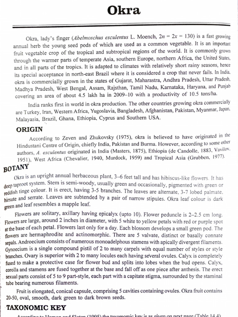 Okra Vcs 316 | PDF
