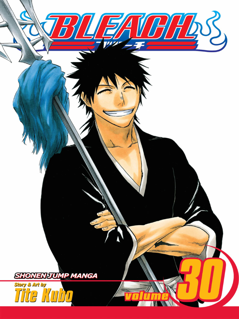 Bleach Volume 30 - PDF Room | PDF