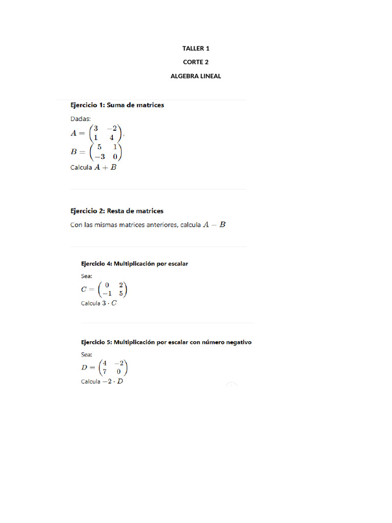 Taller 1 Matrices | PDF