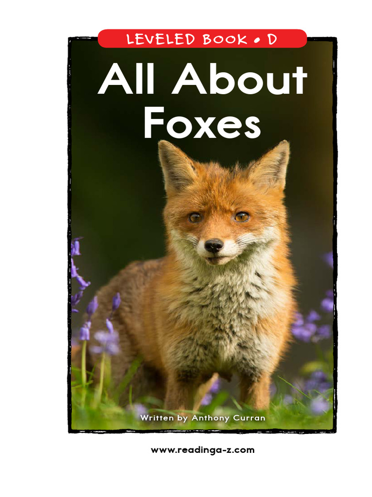 All About Foxes: A Level D Guide | PDF | Fur | Fox