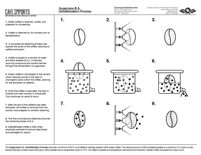 Sugarcane EA Decaffeination Process | PDF | Coffee | Chemical Compounds