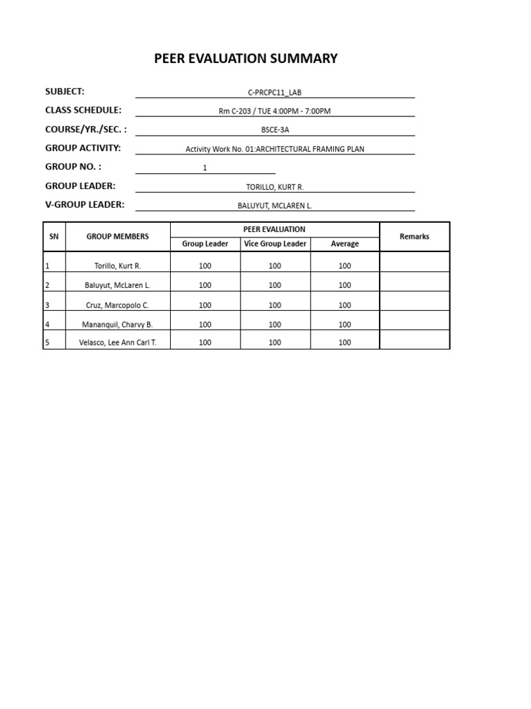 Group 1 - Peer Evaluation - Activity Work No. 01 02 | PDF