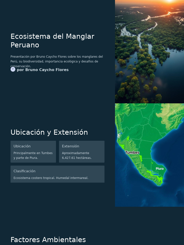 Ecosistema Del Manglar Peruano Oficial | PDF | Mangle | Ecosistema
