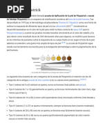 Clasificación de Fototipos de Fitzpatrick | PDF | Apariencia humana ...