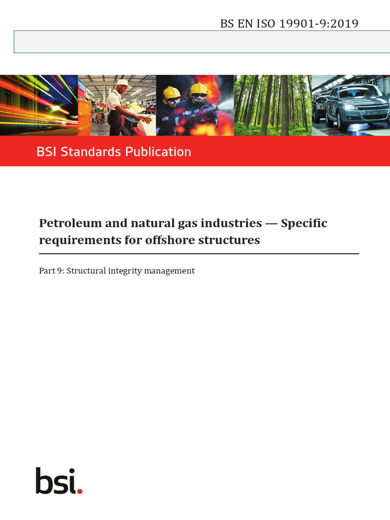 BSI Standards Publication: Petroleum and Natural Gas Industries ...