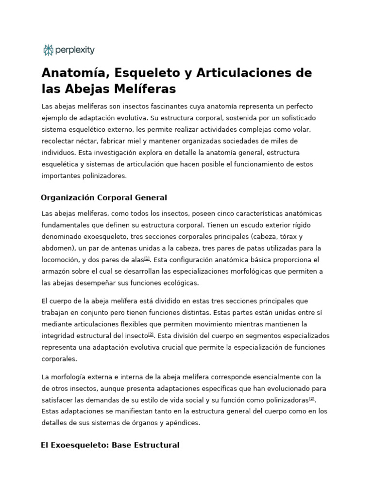 Anatomía, Esqueleto y Articulaciones de Las Abejas | PDF | Abejas ...