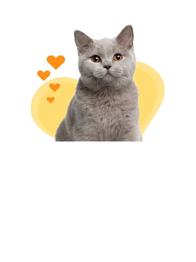 Gato | PDF