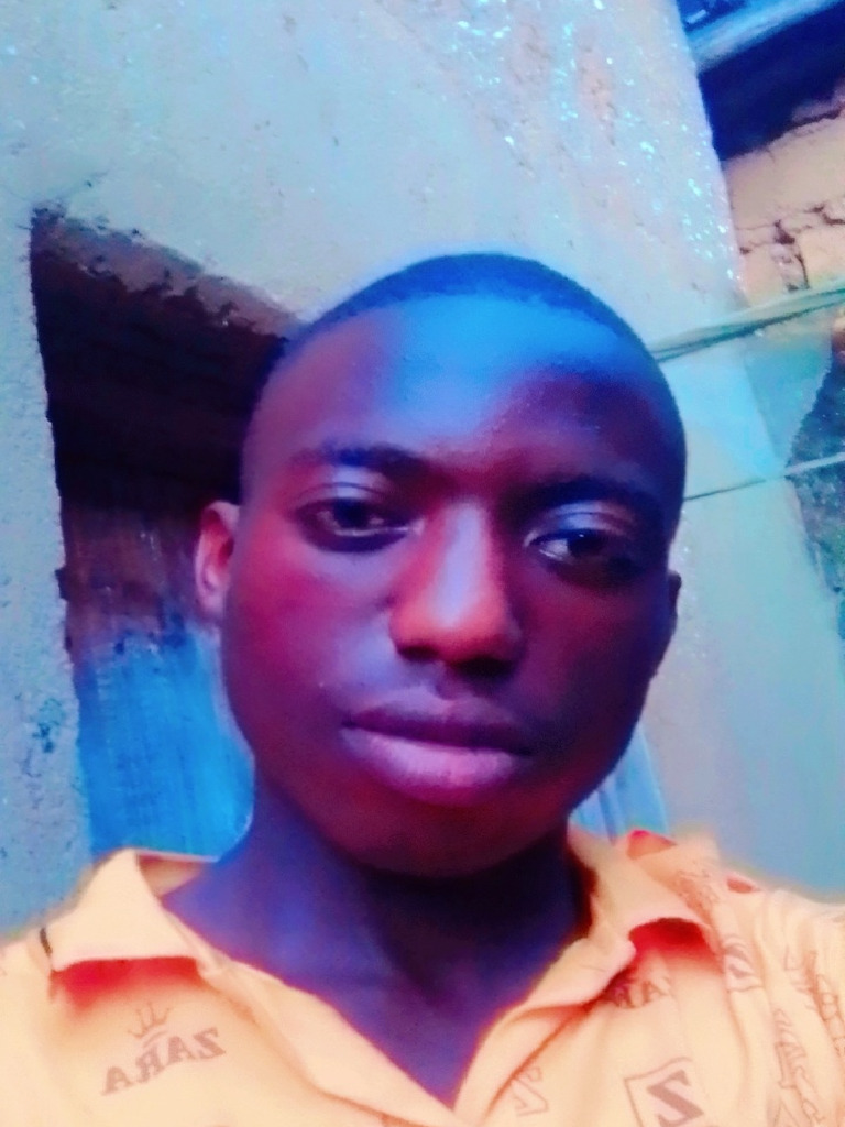 Downloadfile Bin | PDF