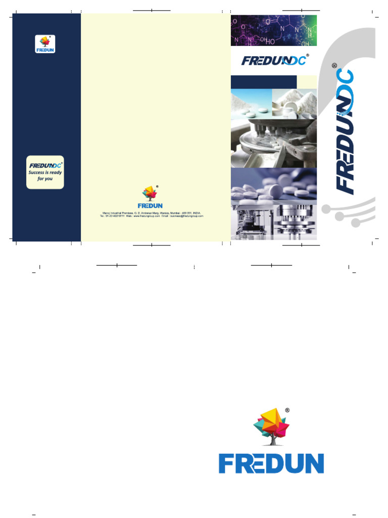 FREDUN DC BROCHURE 1 | PDF