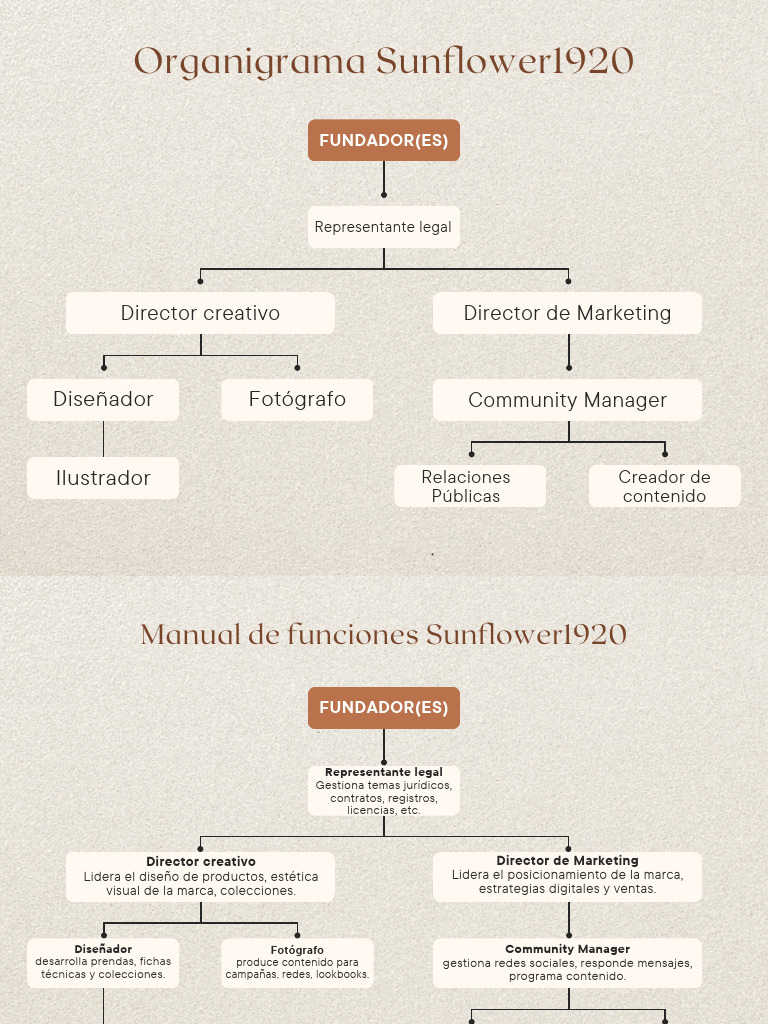 Organigrama y Manual de Funciones | PDF