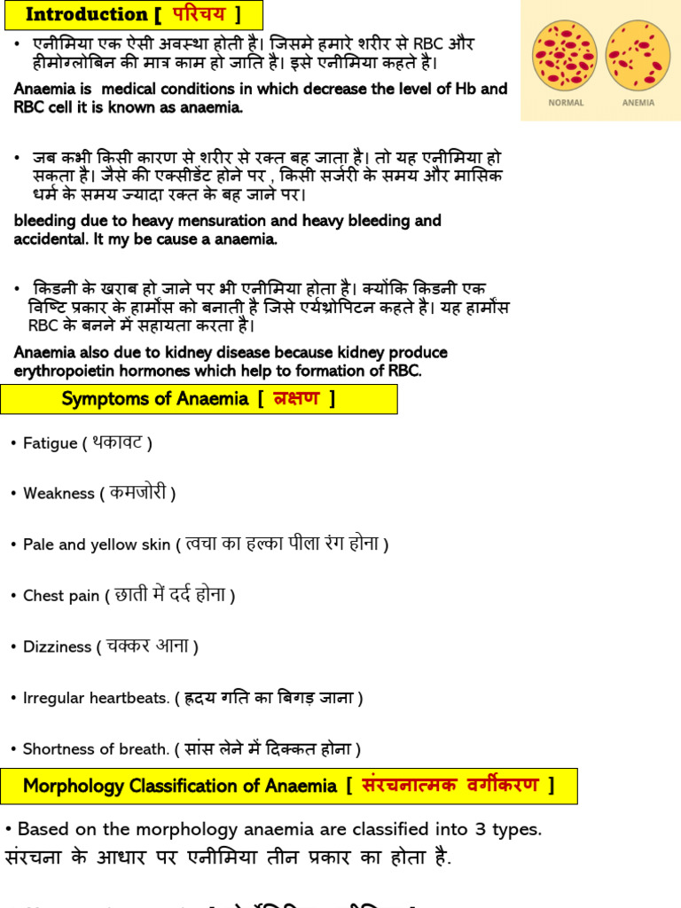 Anemia Introduction_24004530_2023_11_24_08_03 | PDF
