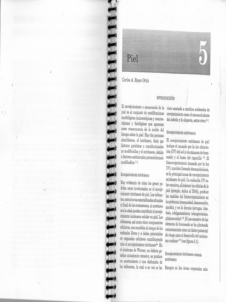 Características de la piel senil | PDF | Piel | Envejecimiento
