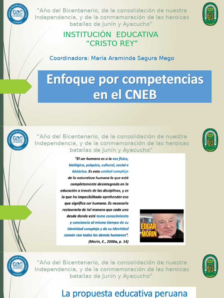 Enfoque por conpetencias en el CNEB | PDF