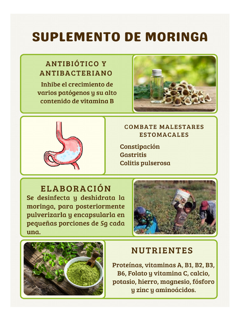 Documento A4 Comunicado de Navidad Navideño Beige PDF | PDF