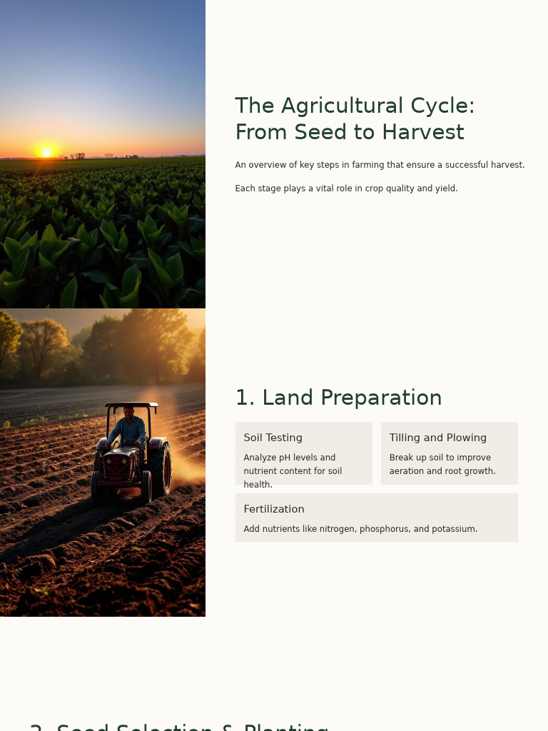 The Agricultural Cycle From Seed To Harvest | PDF | Agriculture | Soil