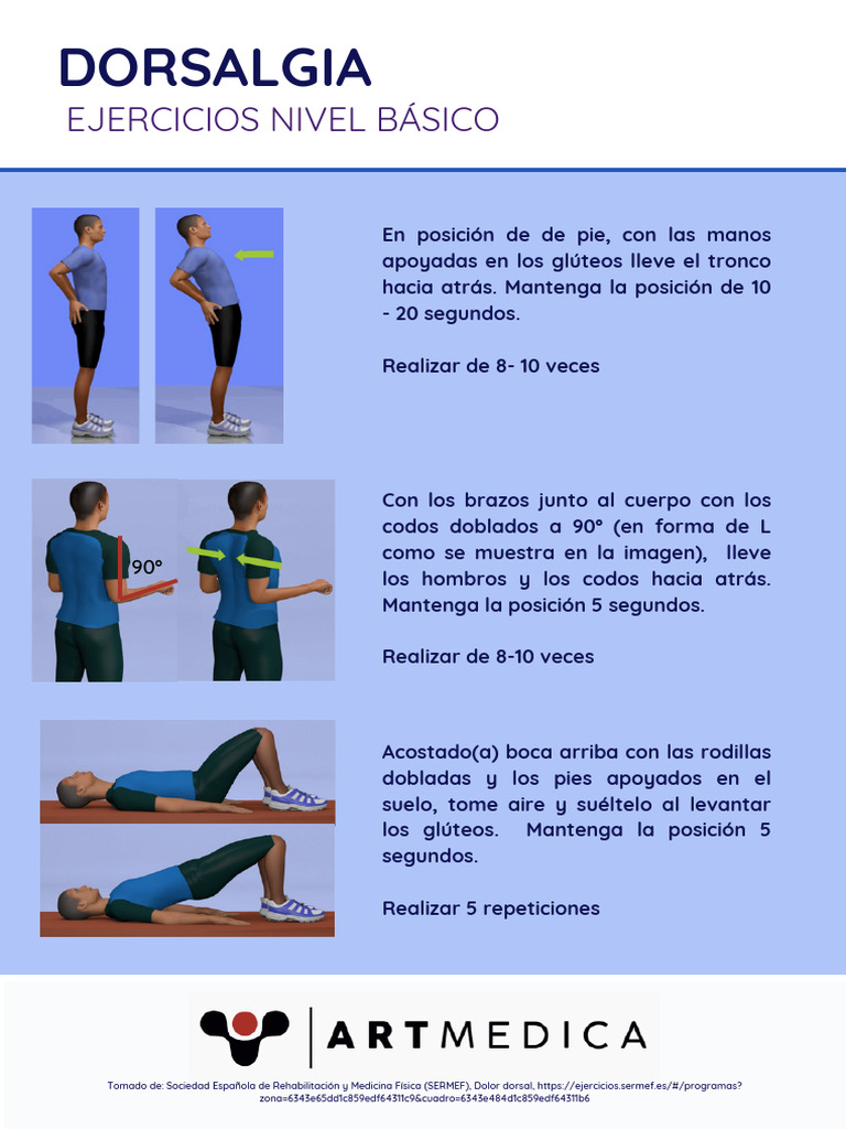 Dorsalgia Básico | PDF