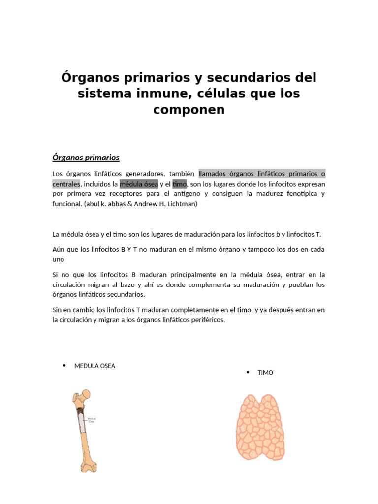 organos secundarios del sistema inmune | PDF | Sistema inmune | Sistema linfático