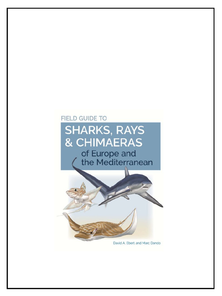 Field Guide To Sharks Rays Chimaeras Of Europe And The Mediterranean ...