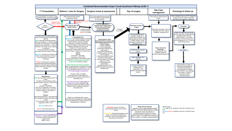Carpal Tunnel Syndrome Management Pathway | PDF | Surgery | Carpal ...