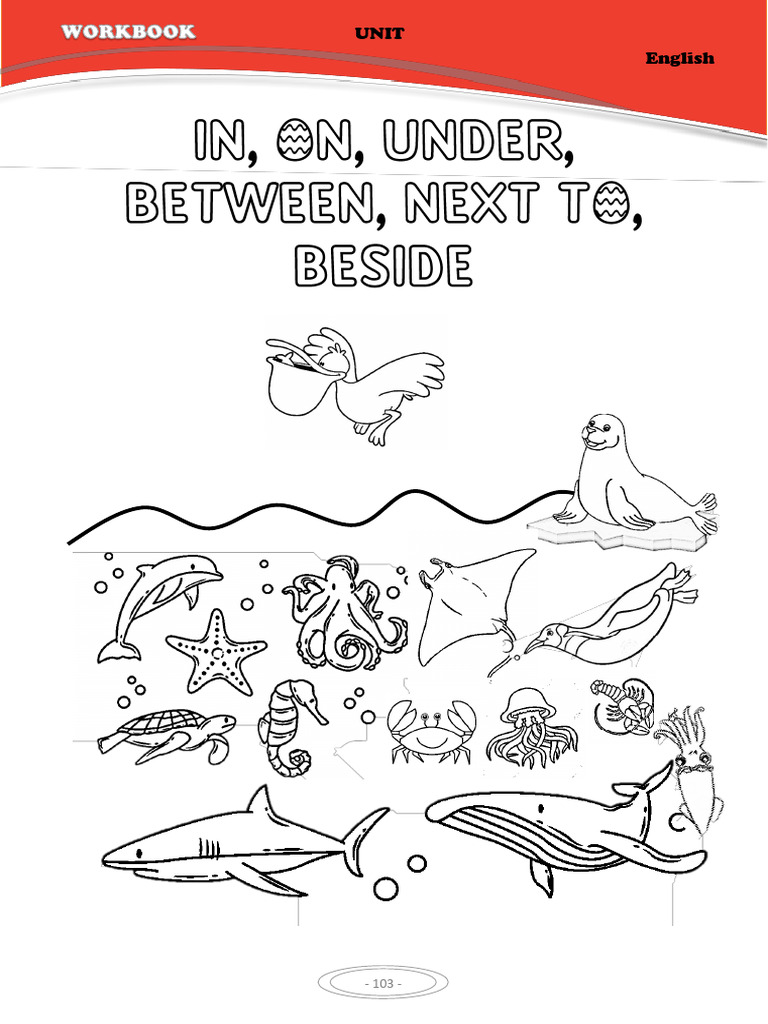 Workbook 2° | PDF