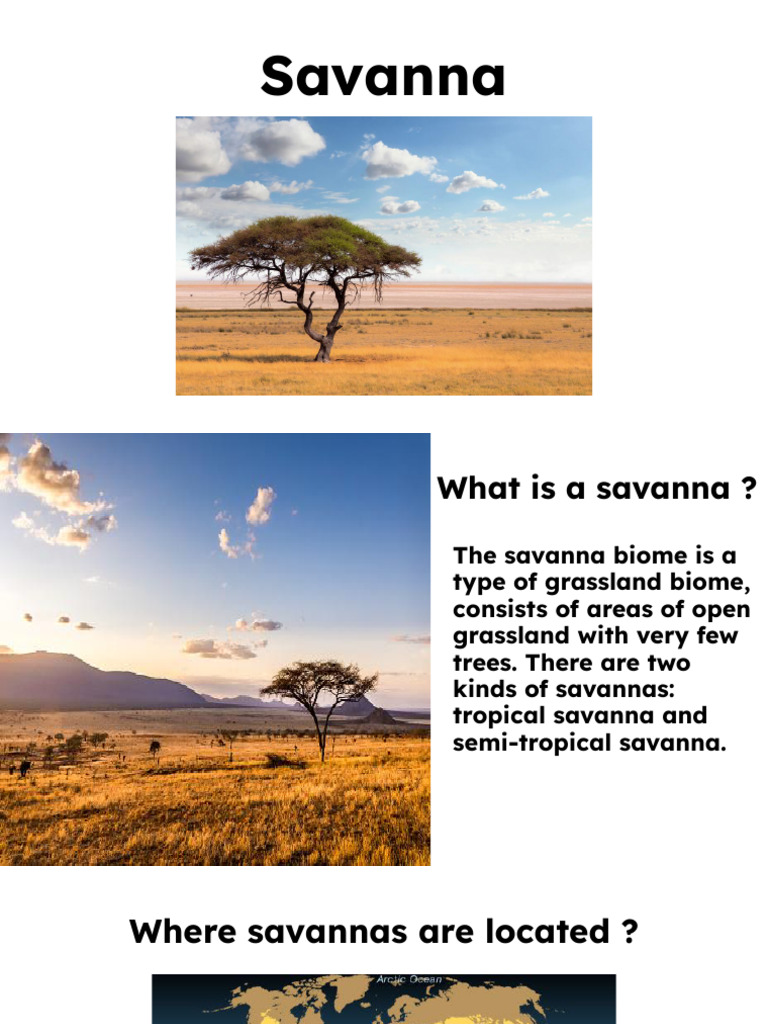Overview of the Savanna Biome | PDF