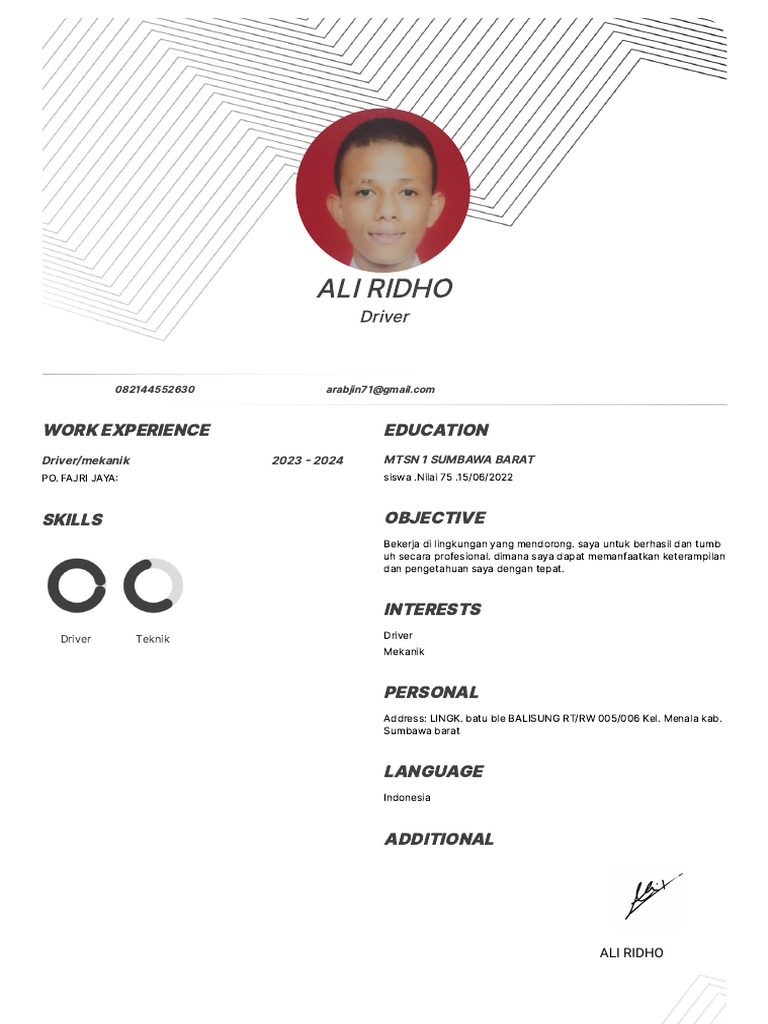 Cv. Ali 2025 | PDF