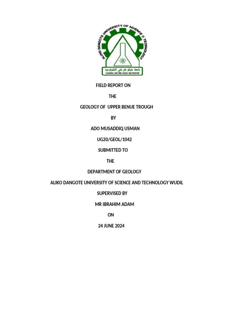 Field Report On-Wps Office | PDF
