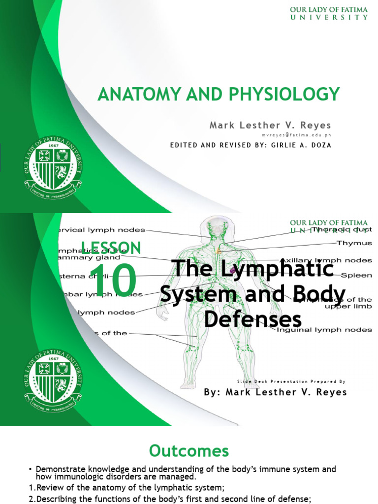 Lymphatic System and Immunity Overview | PDF | Lymphatic System | Antibody