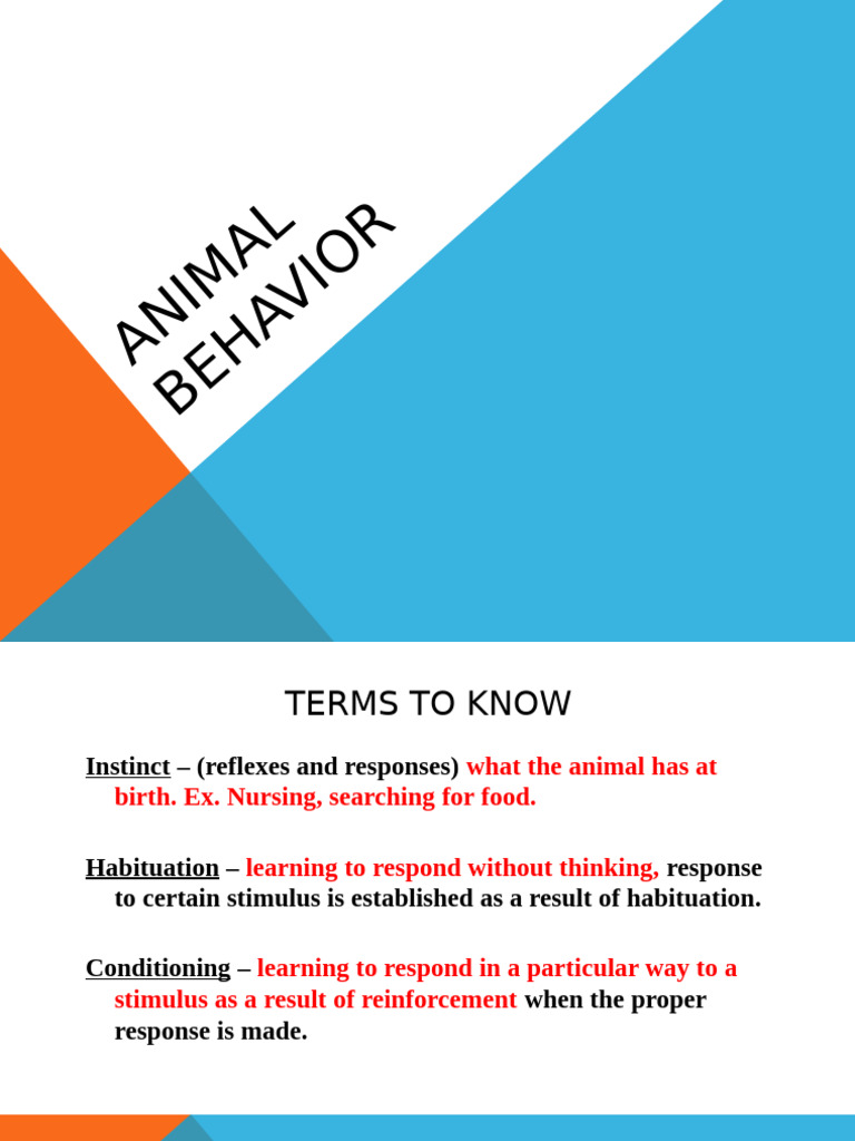 Understanding Animal Habituation | PDF | Cattle | Sheep