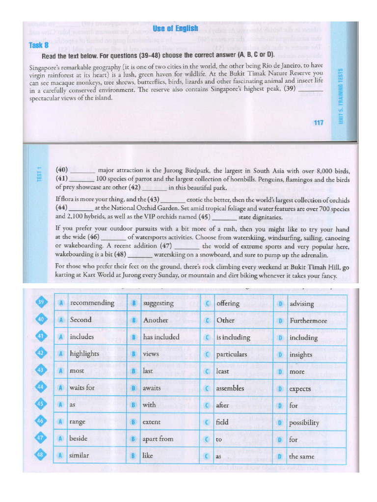 Use of English | PDF