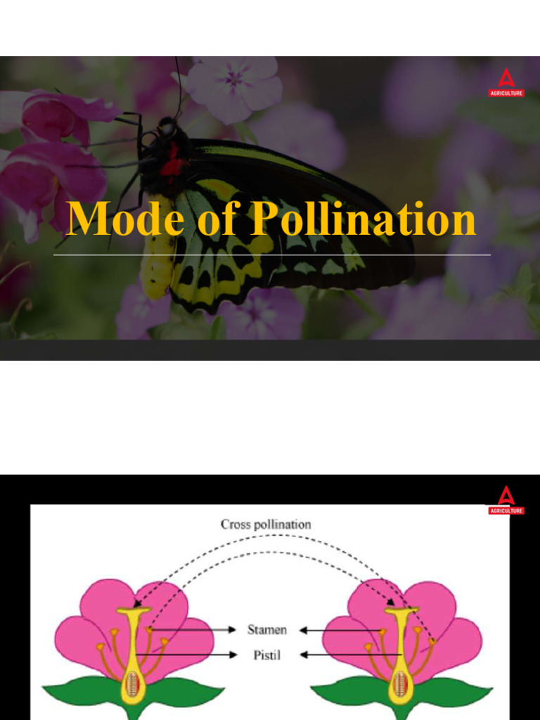 Mode of Pollination | PDF