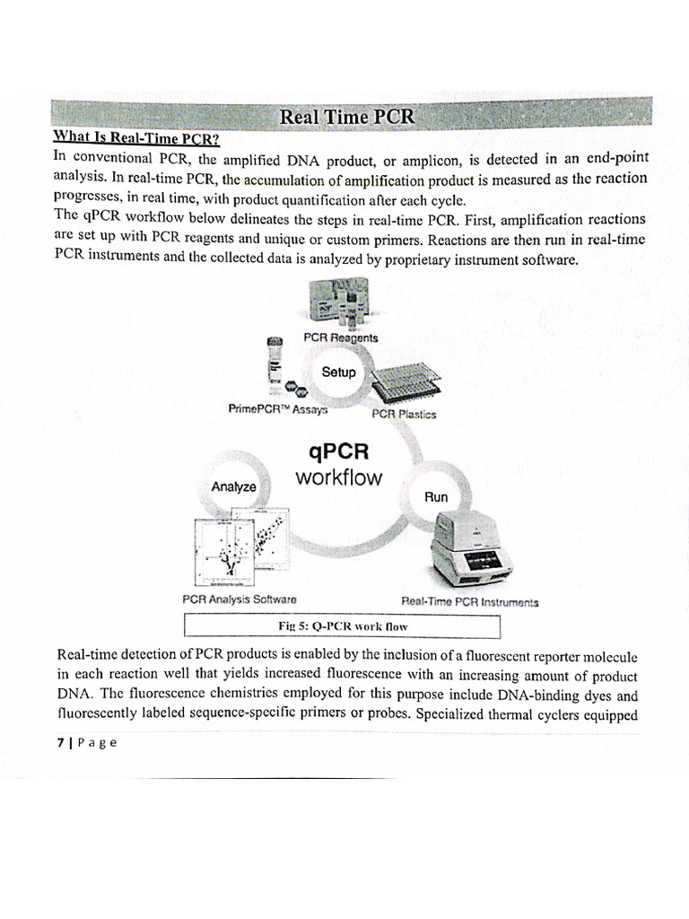 Real Time PCR Notes by Sir Mubashir | PDF