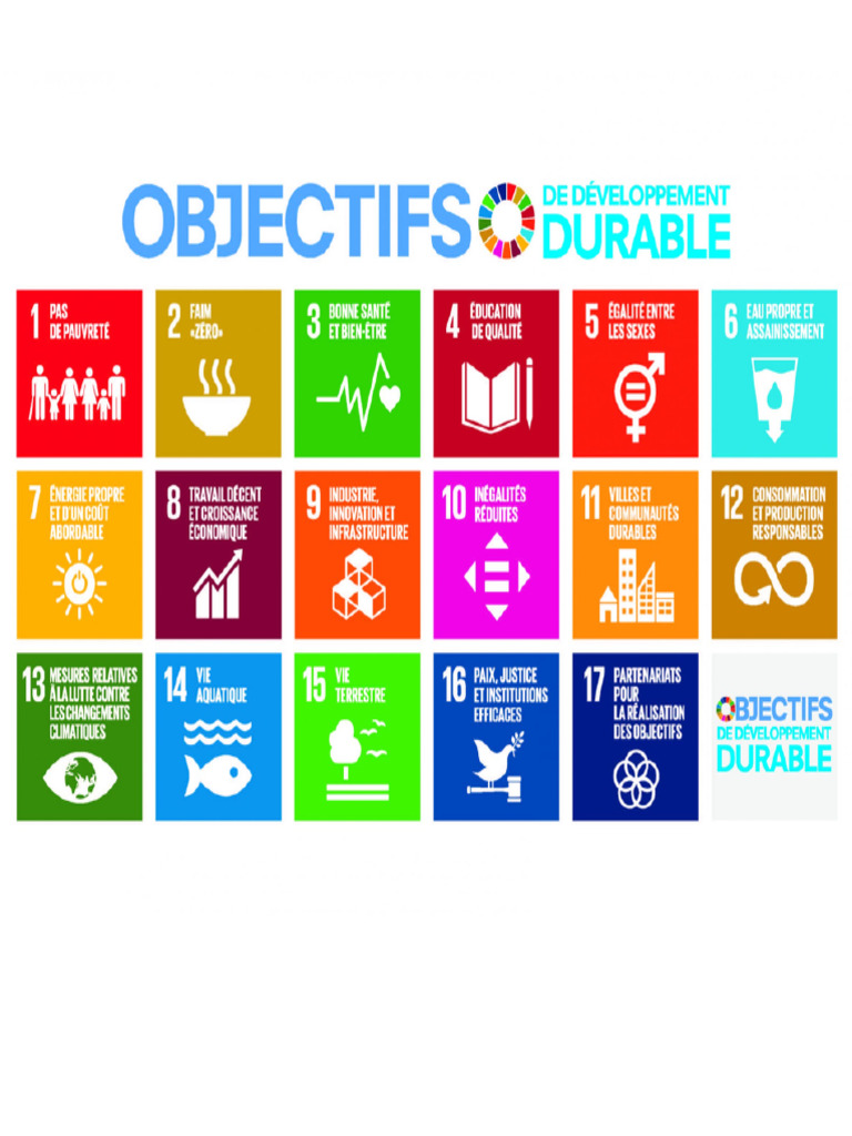SDG Badges | PDF