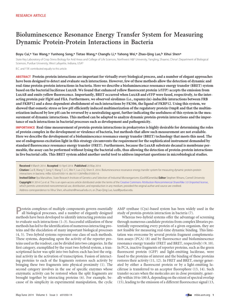 BRET System for Protein Interactions in Bacteria | PDF | Luciferase ...