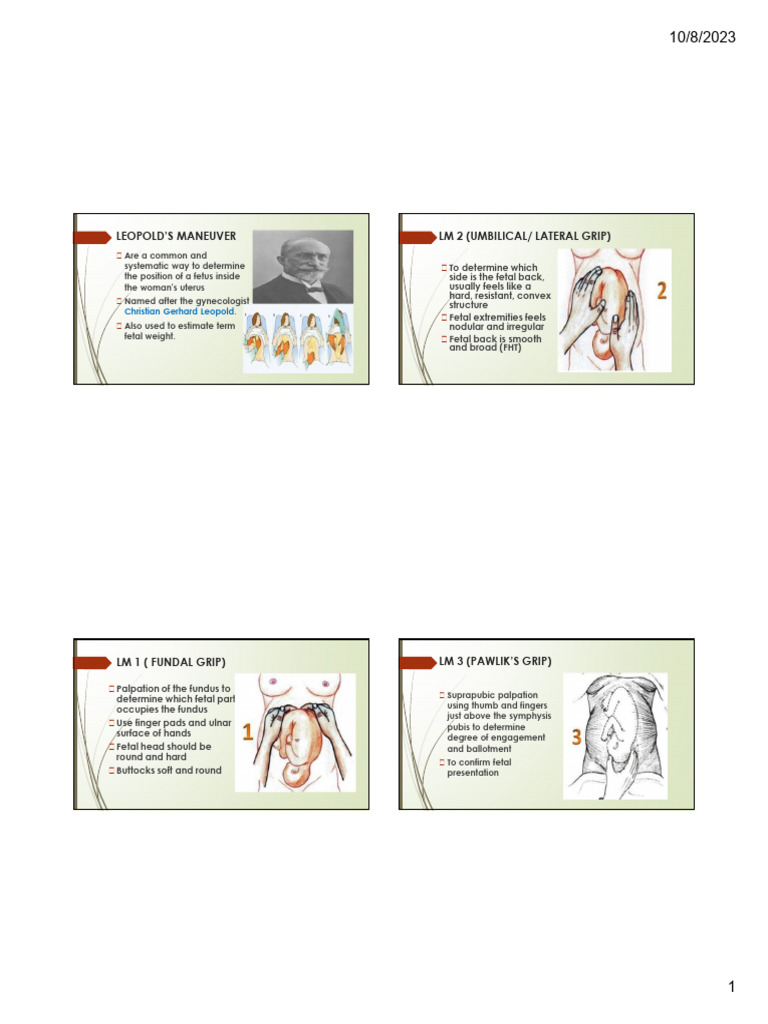 MCN RLE PPT - Leopolds Maneuver | PDF | Fetus | Uterus