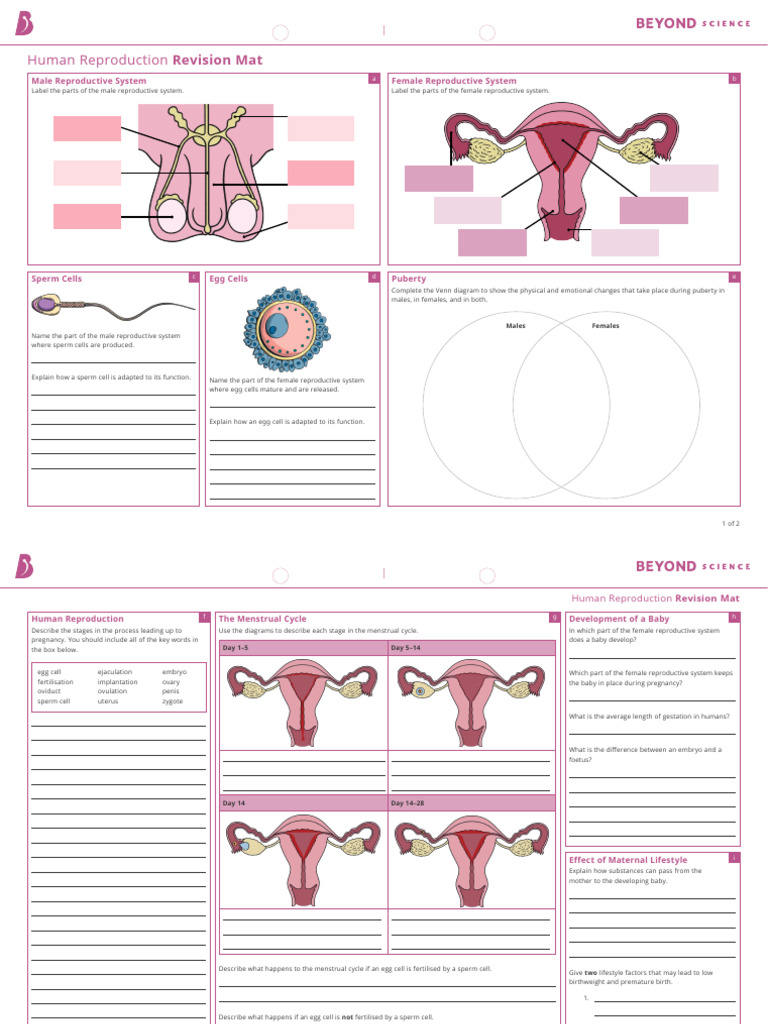 7. Human Reproduction Revision Mat Higher | PDF | Human Reproduction ...