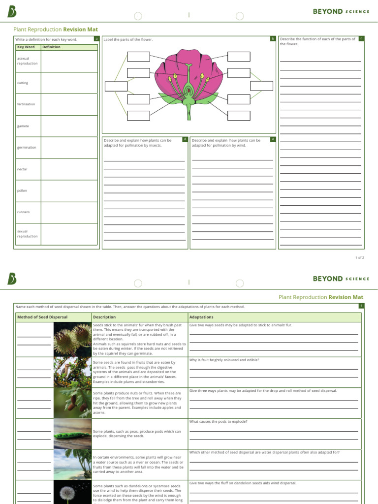 12. Plant Reproduction Revision Mat Higher | PDF | Seed | Plant ...