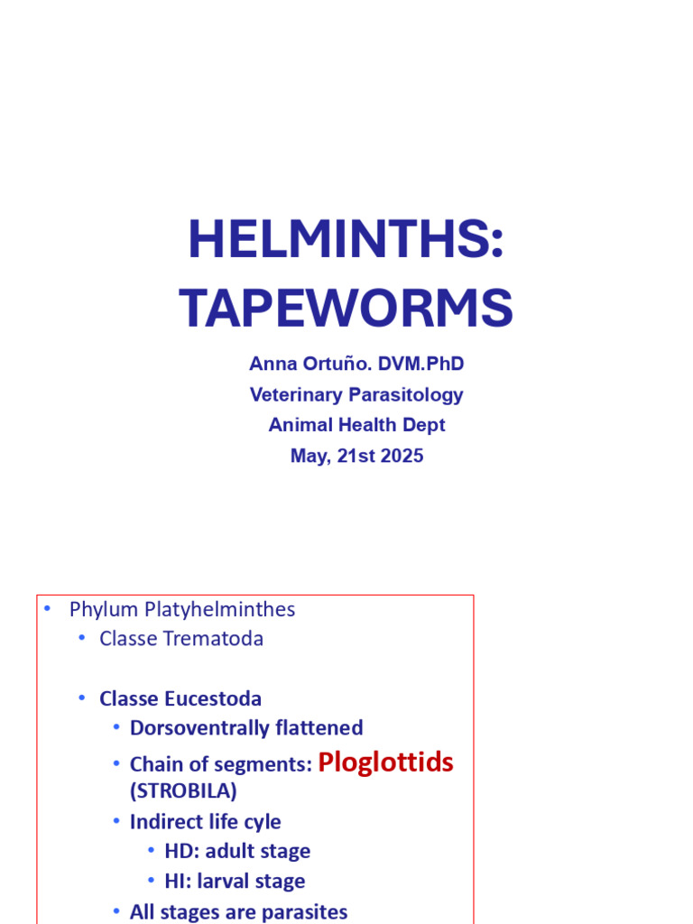 PLATYHELMINTS Lecture 9 Tapewroms VET PARASITOL MCAST - UAB | PDF ...