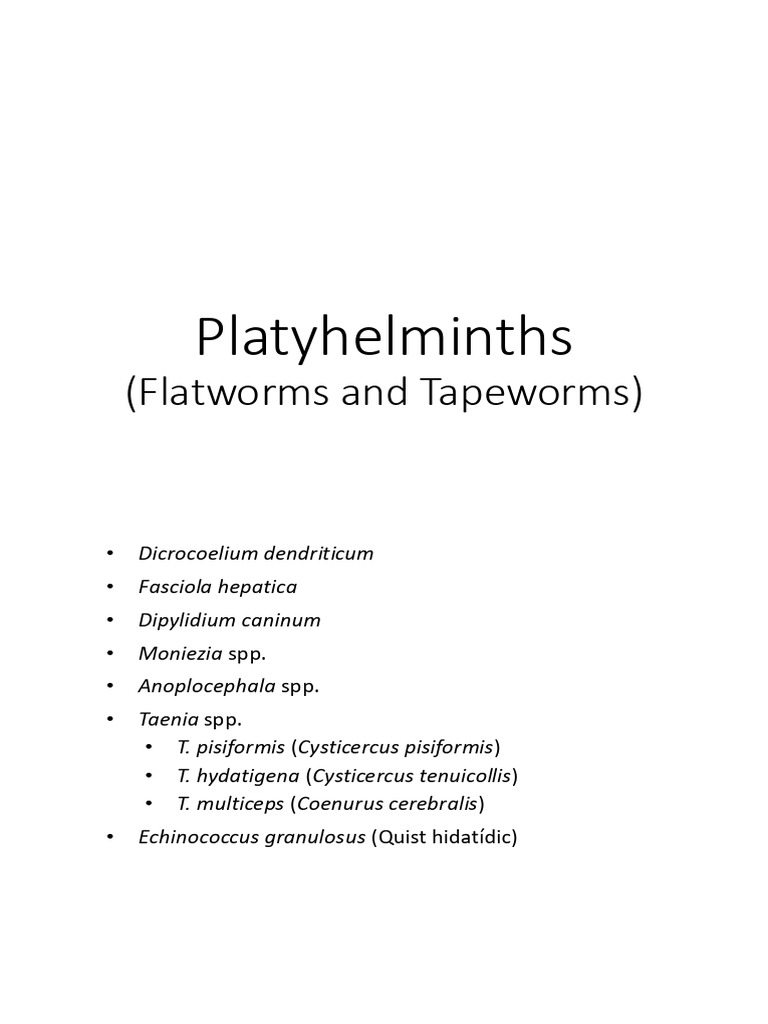PLATYHELMINTHES Practical Sessions 3 - VET PARASITOL MCAST - UAB | PDF ...